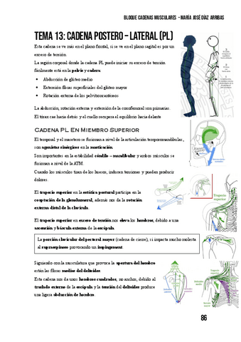 Tema-13.-Cadena-Postero-Lateral.pdf