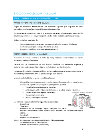 BIOLOGIA-MOLECULAR-Y-CELULAR.pdf