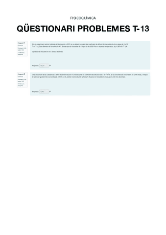 Questionari-problemes-T-13-PDF.pdf