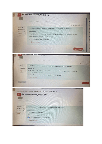 Cuestionario-autoevaluacion-tema-10.pdf