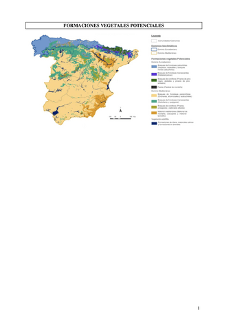 5.-Vegetacion-potencial-y-real.pdf