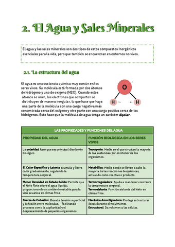 TEMA 1 // 2. El Agua Y Las Sales Minerales.pdf