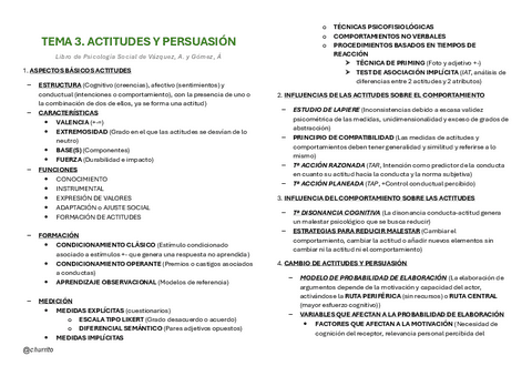 T3 ESQUEMA PSICO SOCIAL.pdf