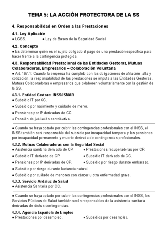 TEMA-5.-PARTE-2.-LA-ACCION-PROTECTORA-DE-LA-SS.pdf