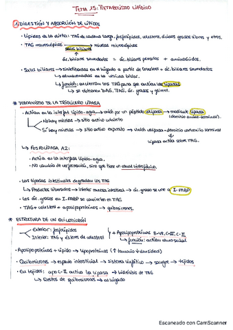 esquema-tema-15-metabolismo-lipidico.pdf