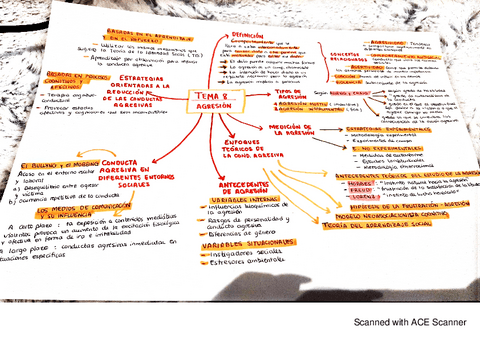 Mapa-conceptual-tema-8.pdf