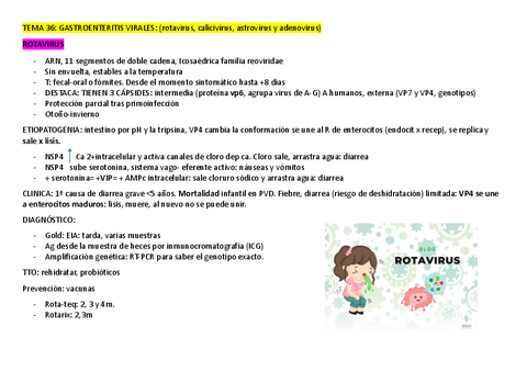 virus-esquemas-medio-folio.pdf