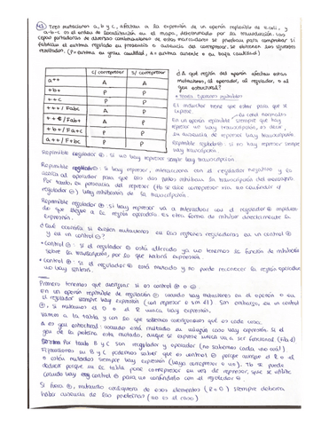 ejercicio-43.pdf