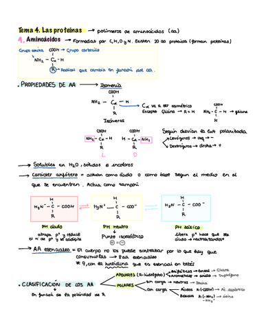 Esquemas-Proteinas.pdf