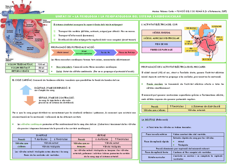 Unitat-4-Sistema-cardiovascular-esquema-mpg.pdf
