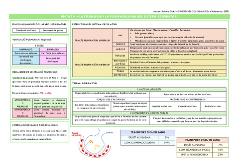 Unitat-5-Sistema-respiratori-esquema-mpg.pdf