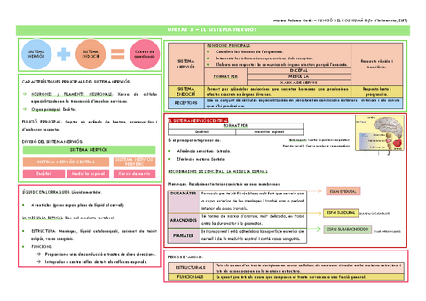 Unitat-10-Sistema-nervios-esquema-mpg.pdf