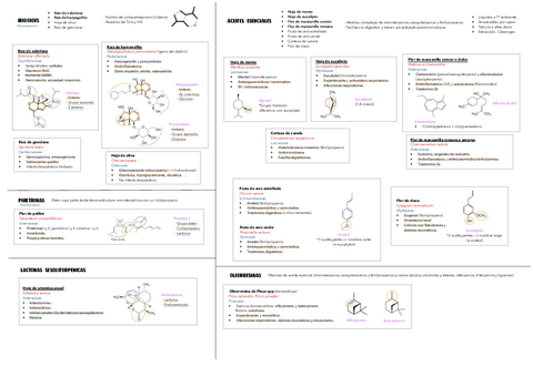 Resumen Terpenos Pdf