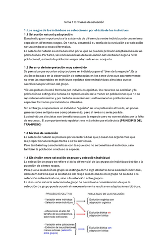 tema-11-bio-evo.pdf