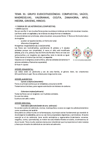 TEMA-31.pdf