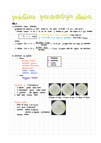 PRACTICAS-MPC-PARASITOLOGIA.pdf