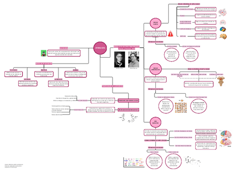 Mapa-conceptual-LBD1-psicofisiologia.pdf