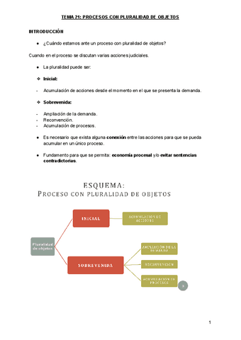 TEMA-21-PROCESOS-CON-PLURALIDAD-DE-OBJETOS.pdf