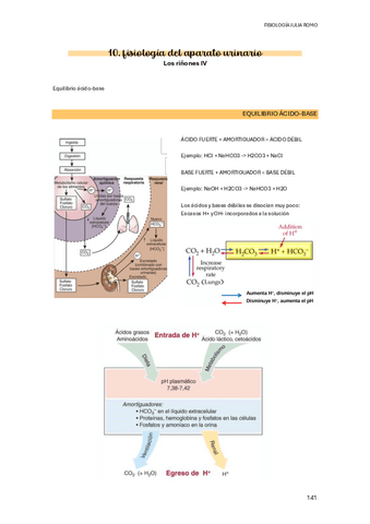 T10.-FISIO-JULIA-ROMO.pdf