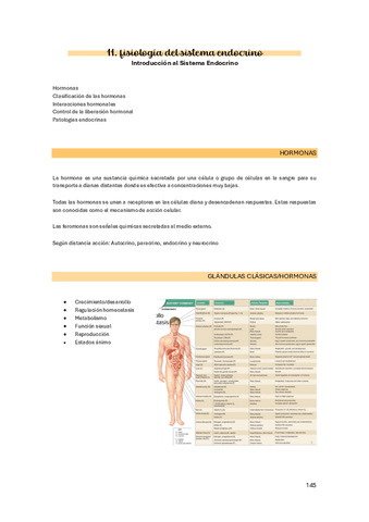 T11.-FISIO-JULIA-ROMO.pdf