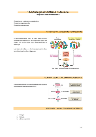 T12.-FISIO-JULIA-ROMO.pdf