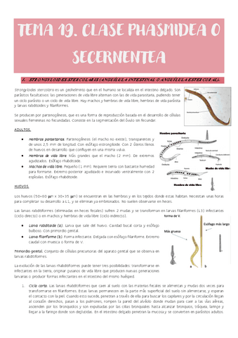 Tema-19.-Clase-Phasmidea-o-Secernentea.pdf