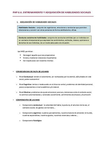 RESUMEN-PAP-U.6.pdf