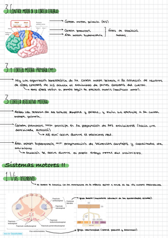 Sistemas-Motores-II.pdf