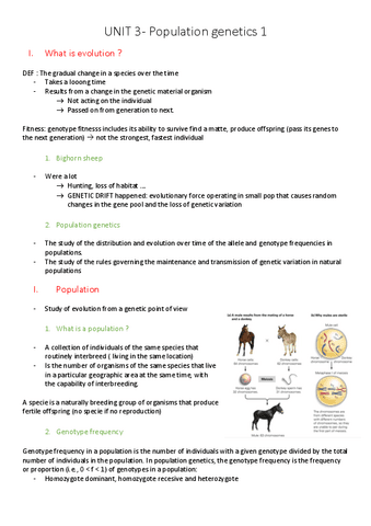 GENET-3-Population-genetics-1.pdf