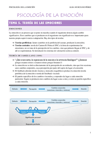 Tema 5 Teoria De Las Emociones Pdf
