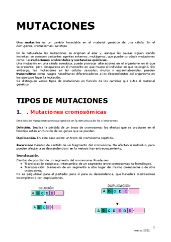 MUTACIONES.pdf