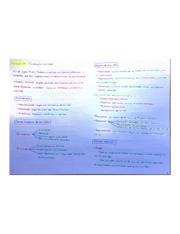 ESQUEMA-BLOQUE-IV-FISIOLOGIA-ANIMAL.pdf