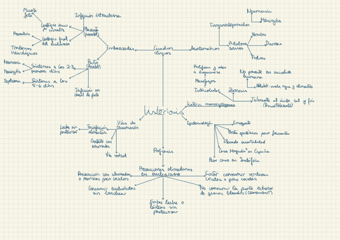Esquemas-enfermedades-Tema-19.pdf
