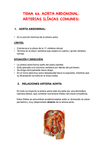 Tema-44.-Arteria-Aorta-abdominal.pdf