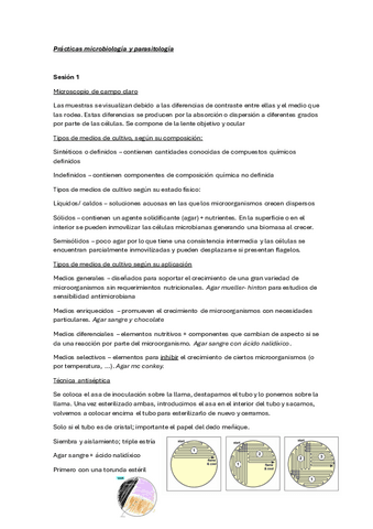 practicas-microbiologia-y-parasitologia.pdf