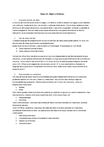 Tema-12.-Programacion.pdf
