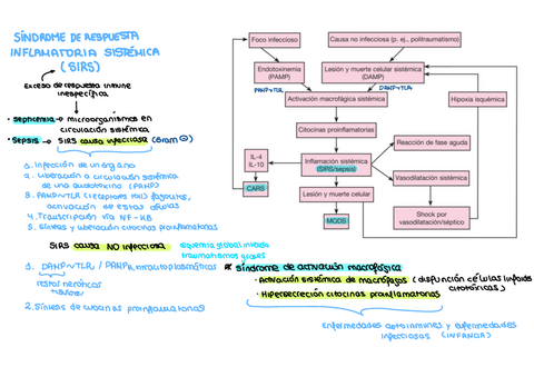 Esquemas-cap-4-Laso.pdf