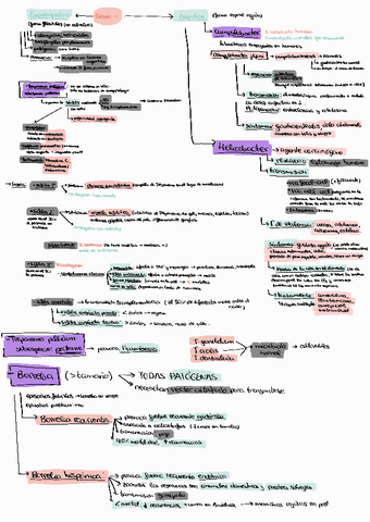 Tema-12-Micro-esquema.pdf