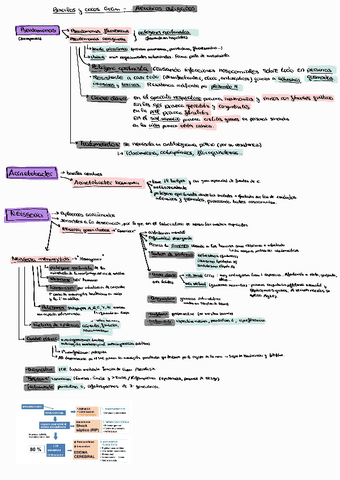 Tema-13-Micro-esquema.pdf