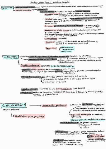 Tema-14-Micro-esquema.pdf