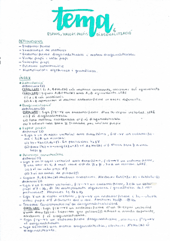 TEMA-6-Espais-valors-propis-i-diagonalitzacio.pdf