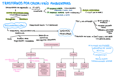 Esquemas-Cap-8-Laso.pdf