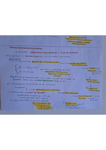 PRACTICA 3 COMANDOS E INTERPRETACIONES.pdf