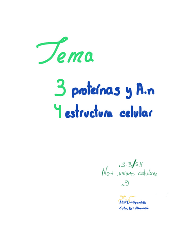 Bio-Esquema-ProteinasEstructura-Celular.pdf