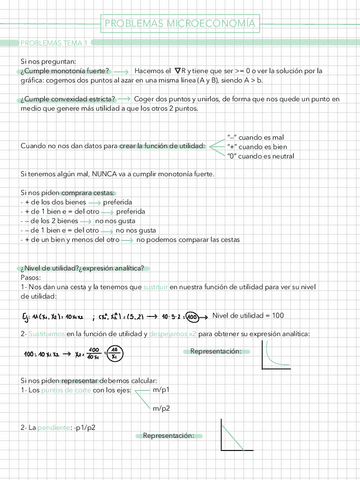 Problemas-Micro-como-se-hacen.pdf