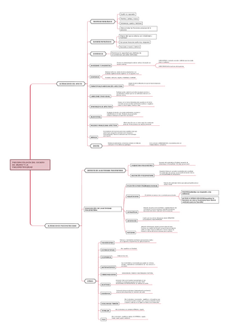 ESQUEMA-T.-6-PSICOPATOLOGIA-DEL-ESTADO-DE-ANIMO-Y-LA-PSICOMOTRICIDAD.pdf