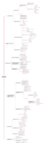 ESQUEMA-T.11-ANSIEDAD.pdf