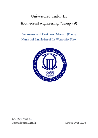 report-bdmc-lab.pdf