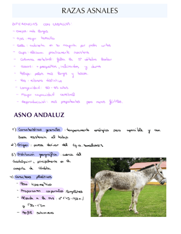 Razas-asnales.pdf