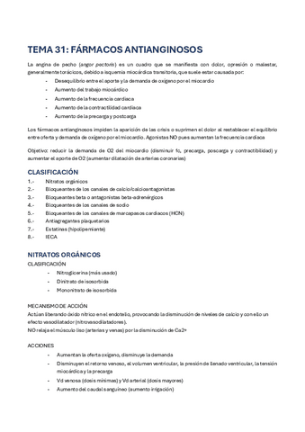 Tema-31.pdf